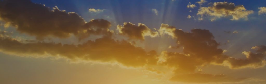 Home - Cobalt Solar Energy