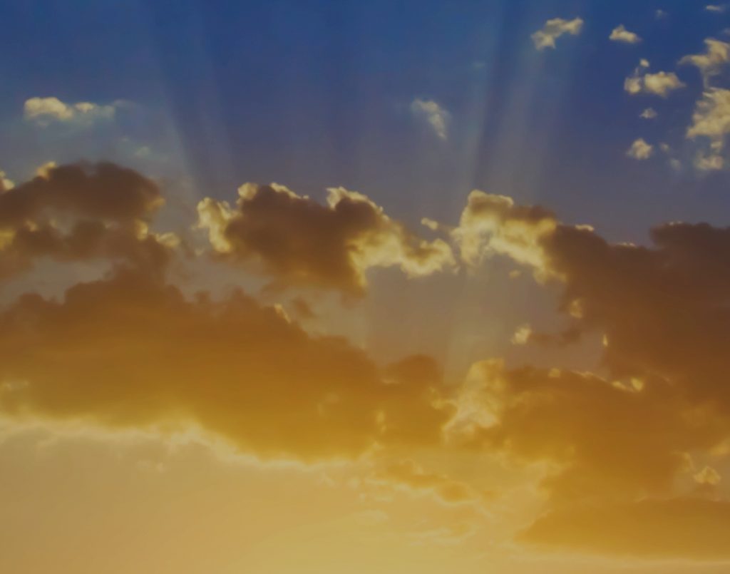 Home - Cobalt Solar Energy