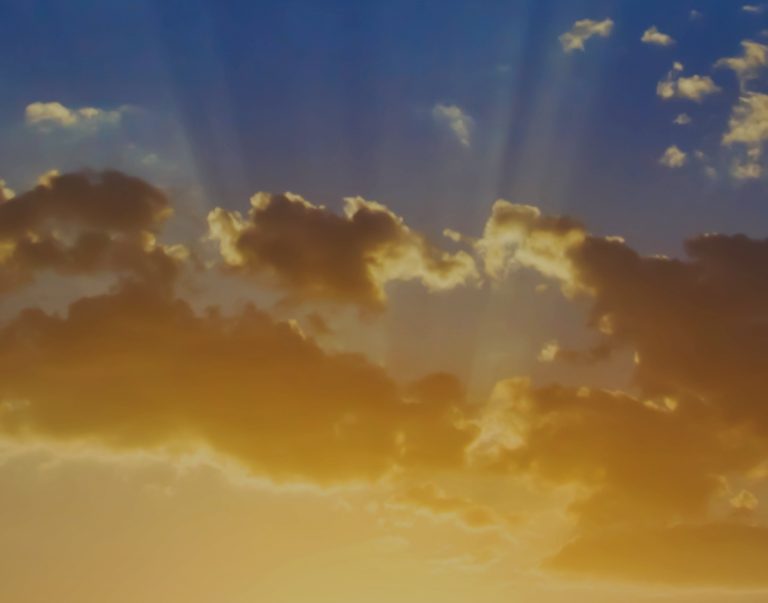 Home - Cobalt Solar Energy