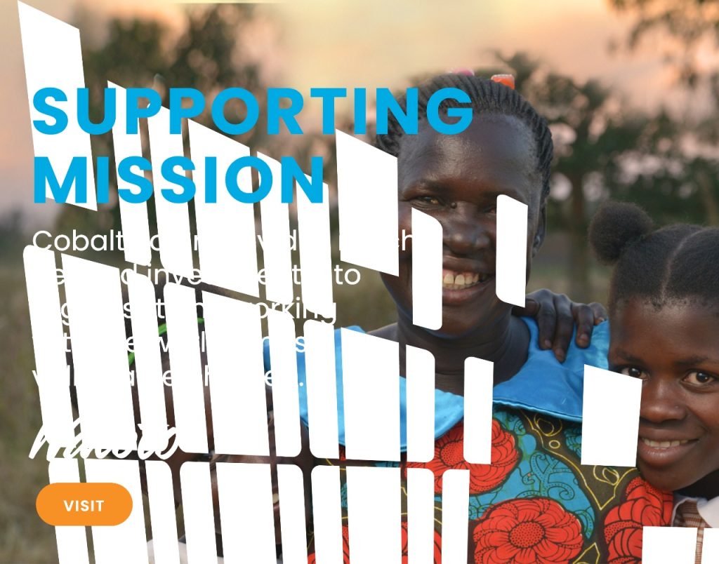 Home - Cobalt Solar Energy